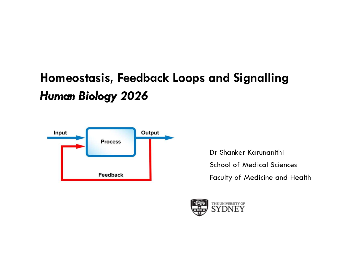 Homeostasis and Feedback Loops in Human Biology (HUM BIO 2026) - Studocu