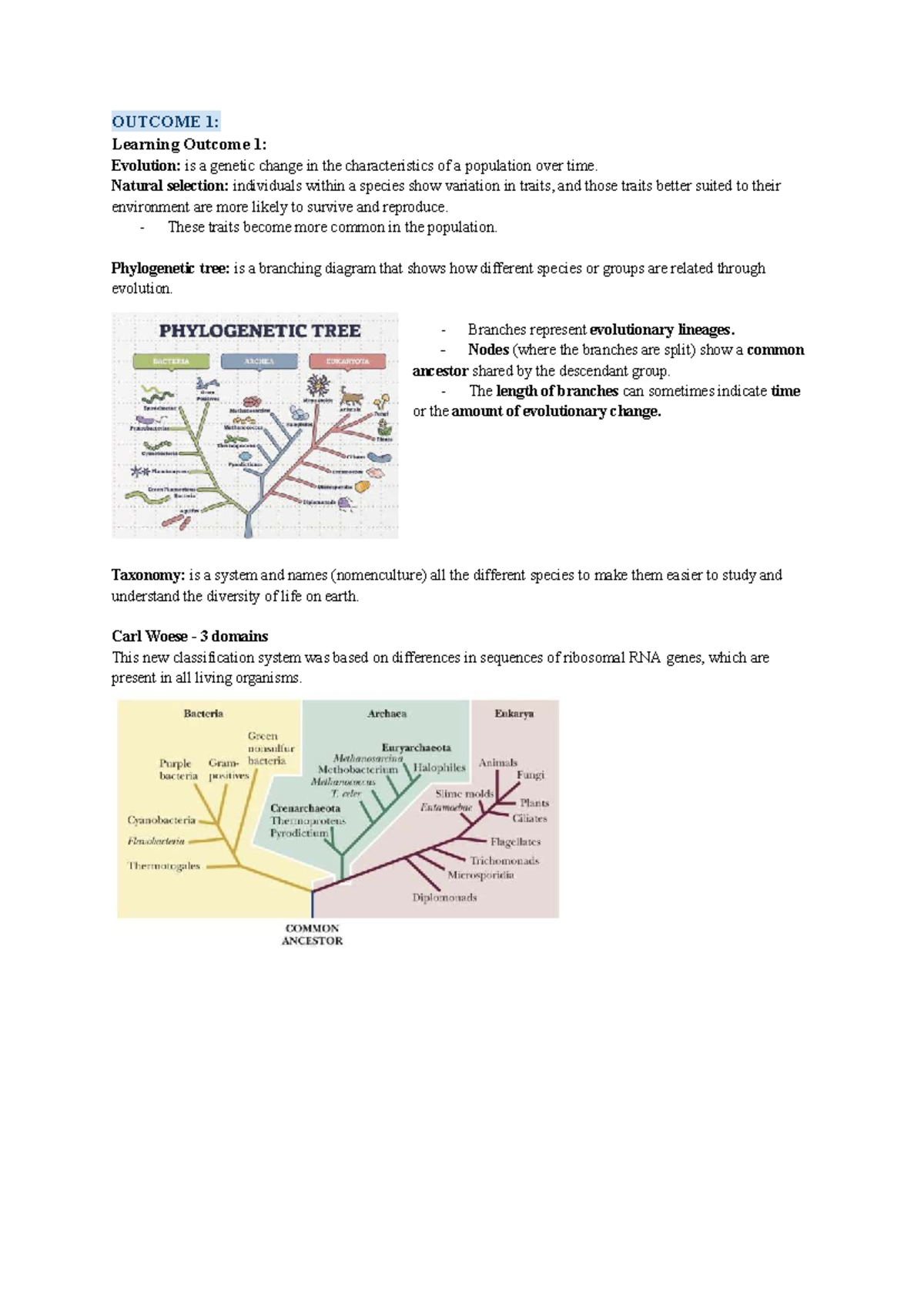 Science Y10: Evolution, Natural Selection, and Genetic Engineering ...