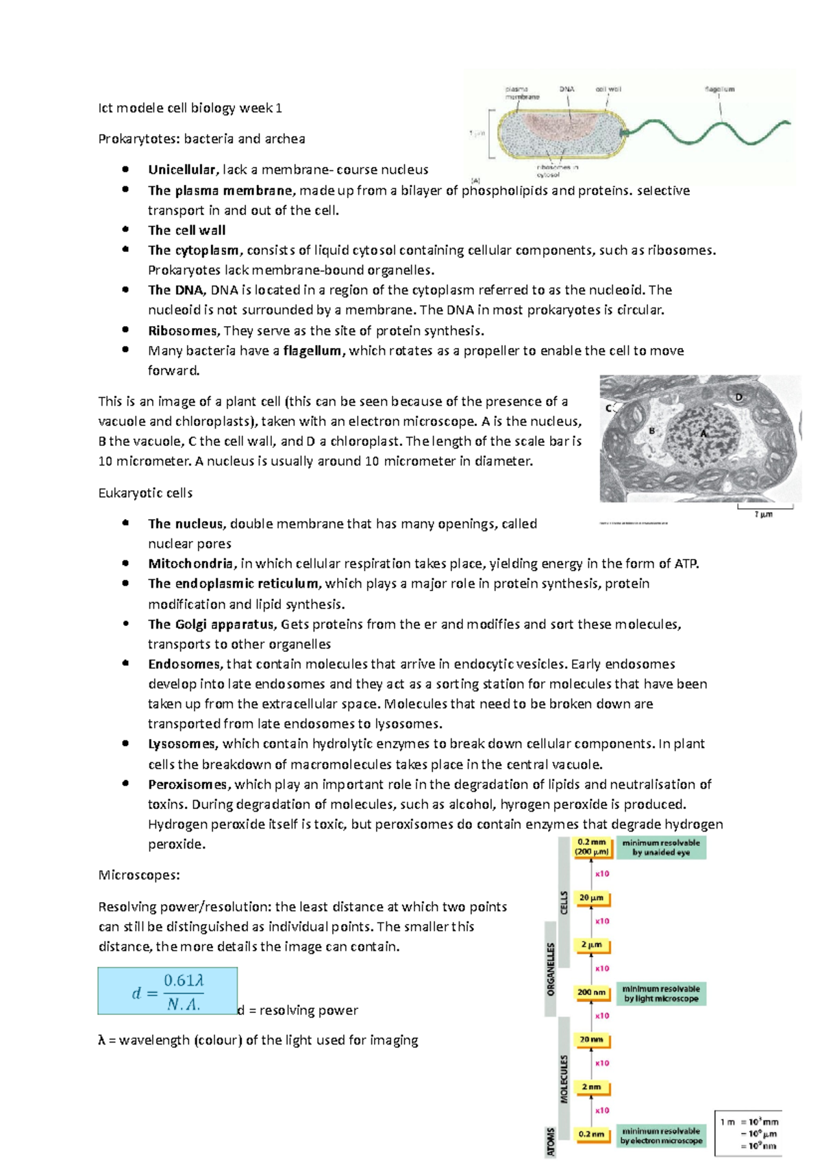 I.C.B. Course 1 - Summary of Cell Biology (Week 1) - Studeersnel