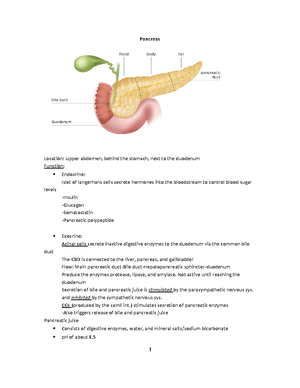 Medication Ace Inhibitors - ACTIVE LEARNING TEMPLATES TherapeuTic ...