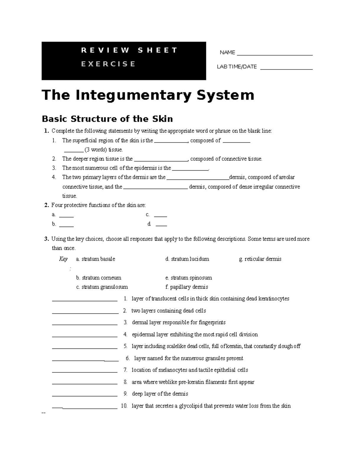 Lab Exam 2 Worksheet - Integumentary System Overview - Studocu