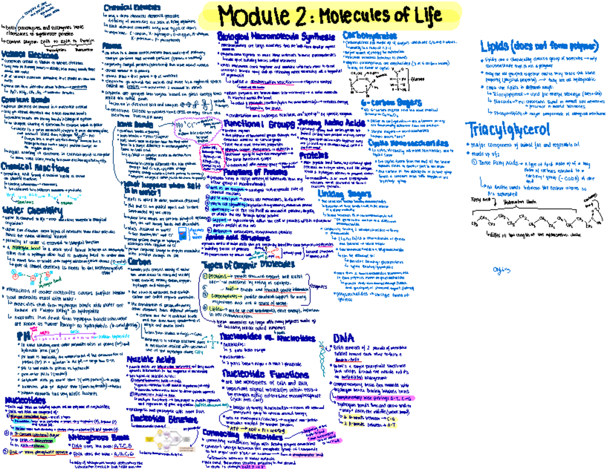 Module 2- Molecules OF LIFE - comparative Chemical Elements only a ...