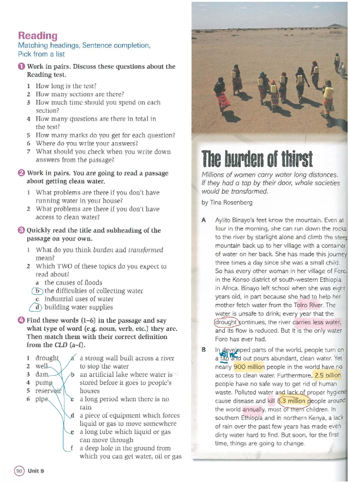 Culture Reading Passage 6: Understanding Intelligence Across Cultures ...