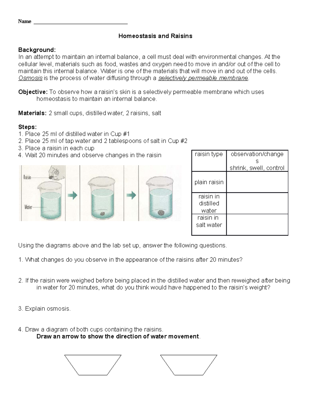 Homeostasis and Osmosis: Exploring Raisins Experiment - Lab Notes - Studocu