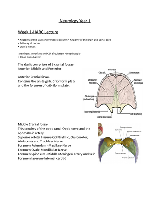 Fsrh ukmec summary september 2019 - UKMEC SUMMARY TABLE HORMONAL AND ...