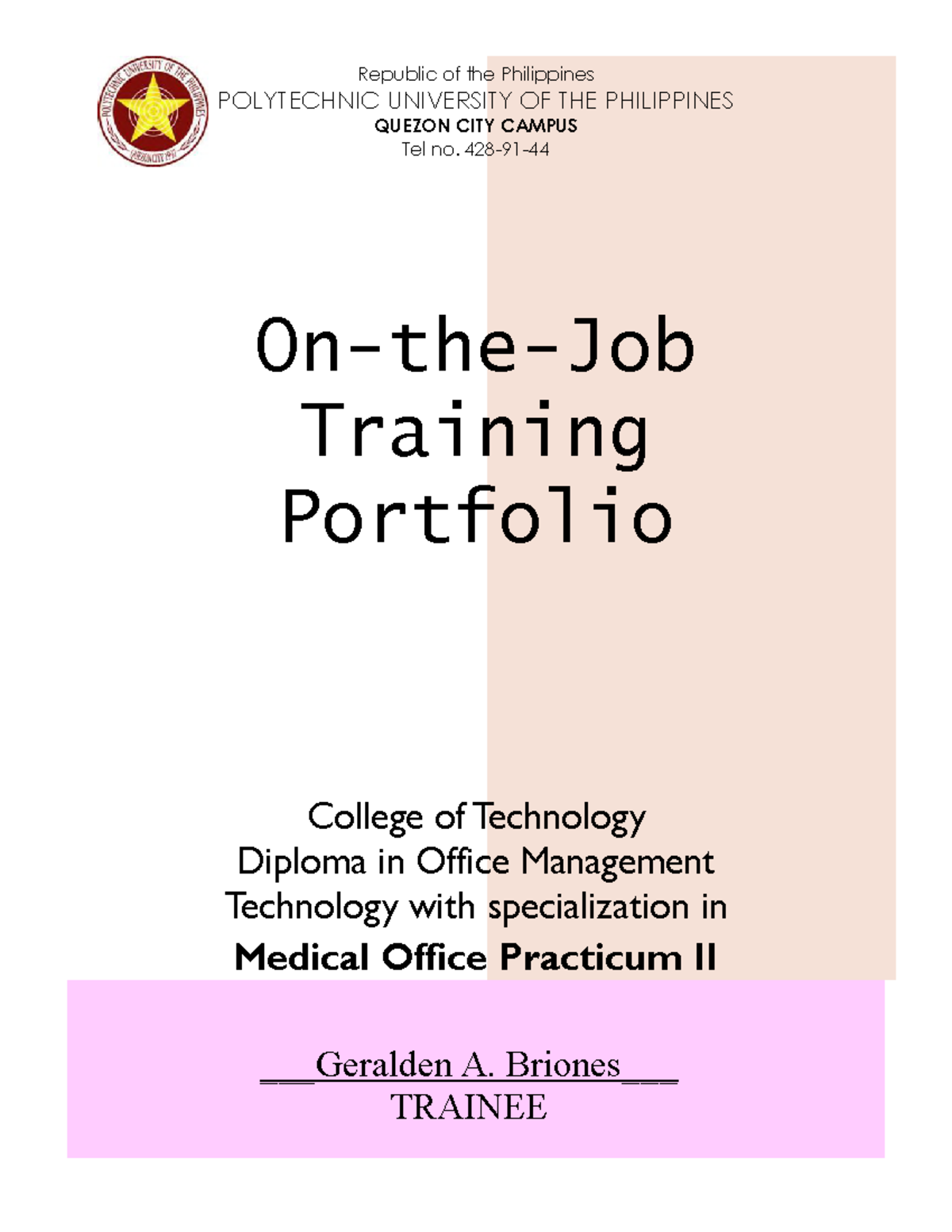 OJT Portfolio Practicum Overview and Key Insights - Studocu