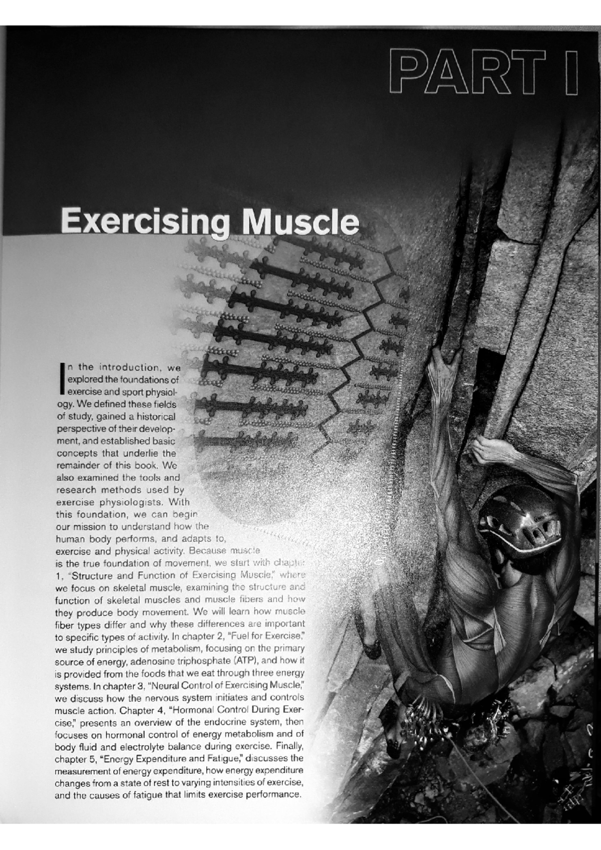 Lesson 1 week3 - Practical materials - PART Exercising Muscle n the ...