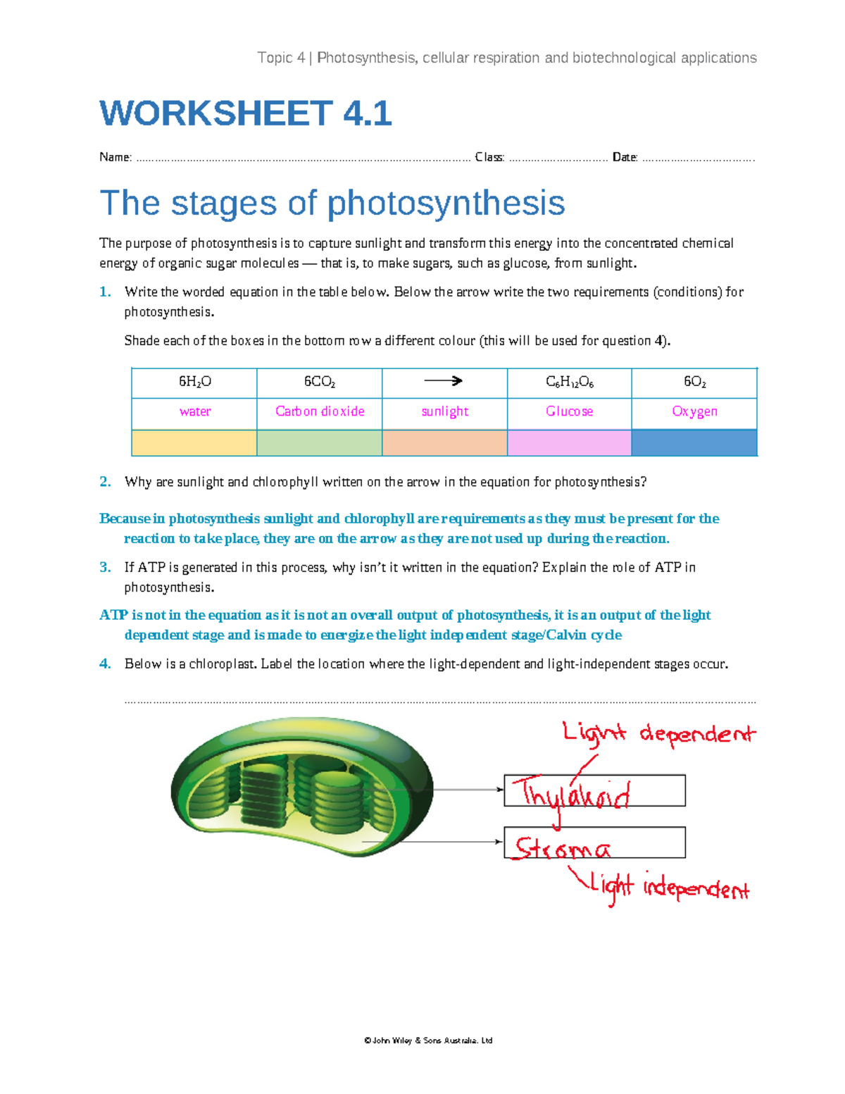 Topic 4: Photosynthesis & Cellular Respiration Worksheet 4.1 - Studocu