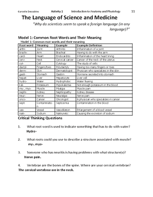 Directional Terms Practice - Directional Terms Practice Complete the ...
