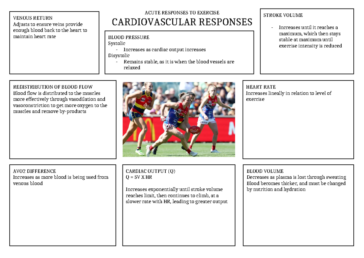 Cardiovascular Acute Responses to Exercise: VENOUS RETURN & Blood Flow ...