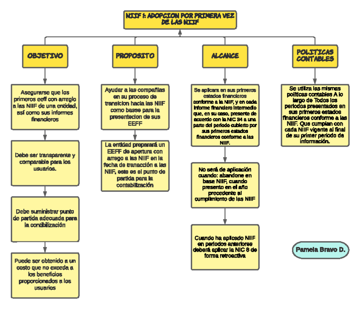 NIIF 1 - Mapa Conceptual sobre la Adopción de NIIF por Primera Vez ...