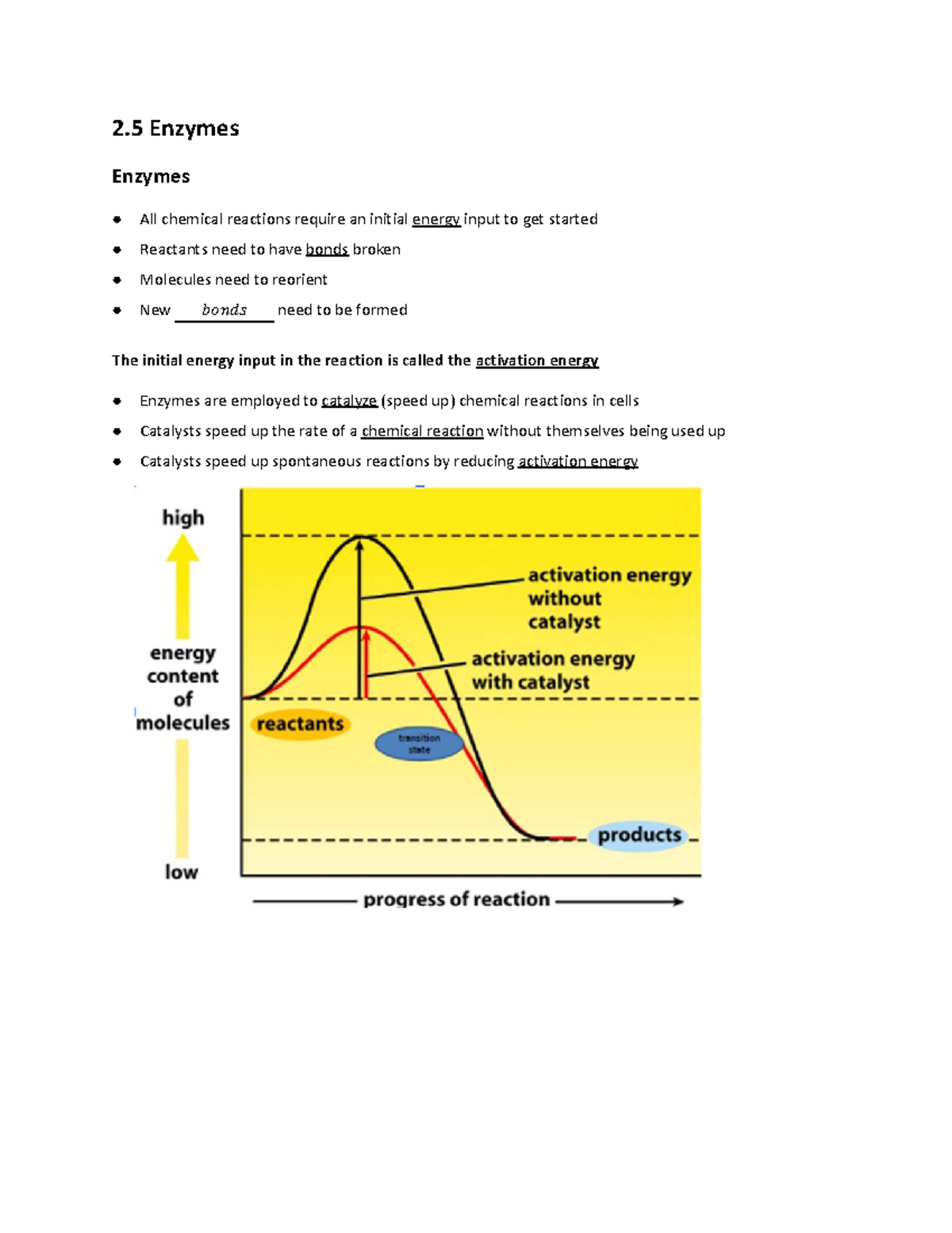 2.5 Enzymes: Key Concepts and Factors Affecting Activity - Studocu