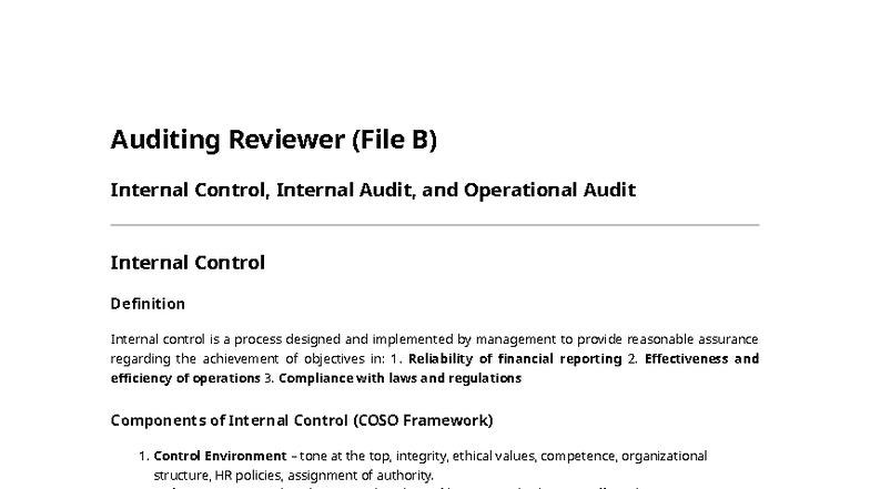 Auditing Reviewer File B - Auditing Reviewer (File B) Internal Control ...