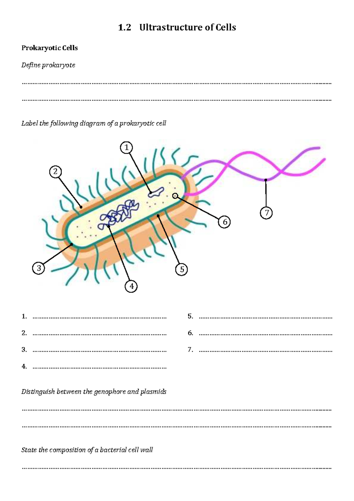 1.2 Worksheet: Ultrastructure of Prokaryotic & Eukaryotic Cells - Studocu