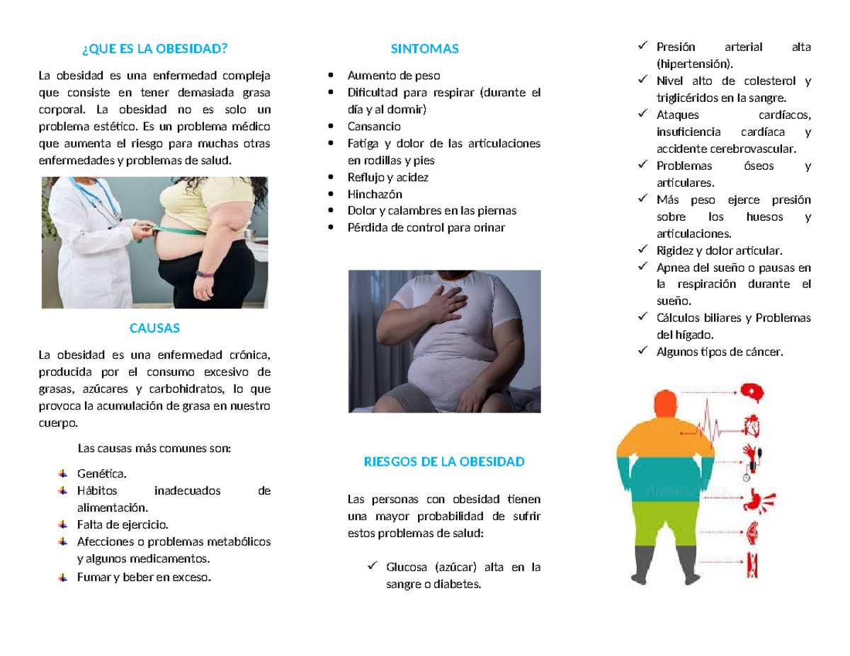 Tríptico informativo sobre la obesidad: causas, síntomas y riesgos ...