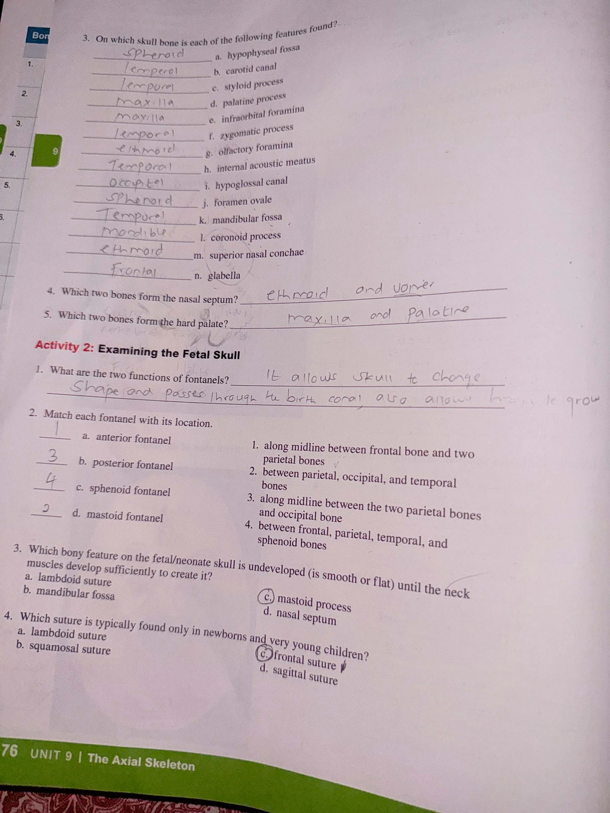IMG 2764 - Unit 7 lab assignments - quizzes are also , 175 178 hlwk ...