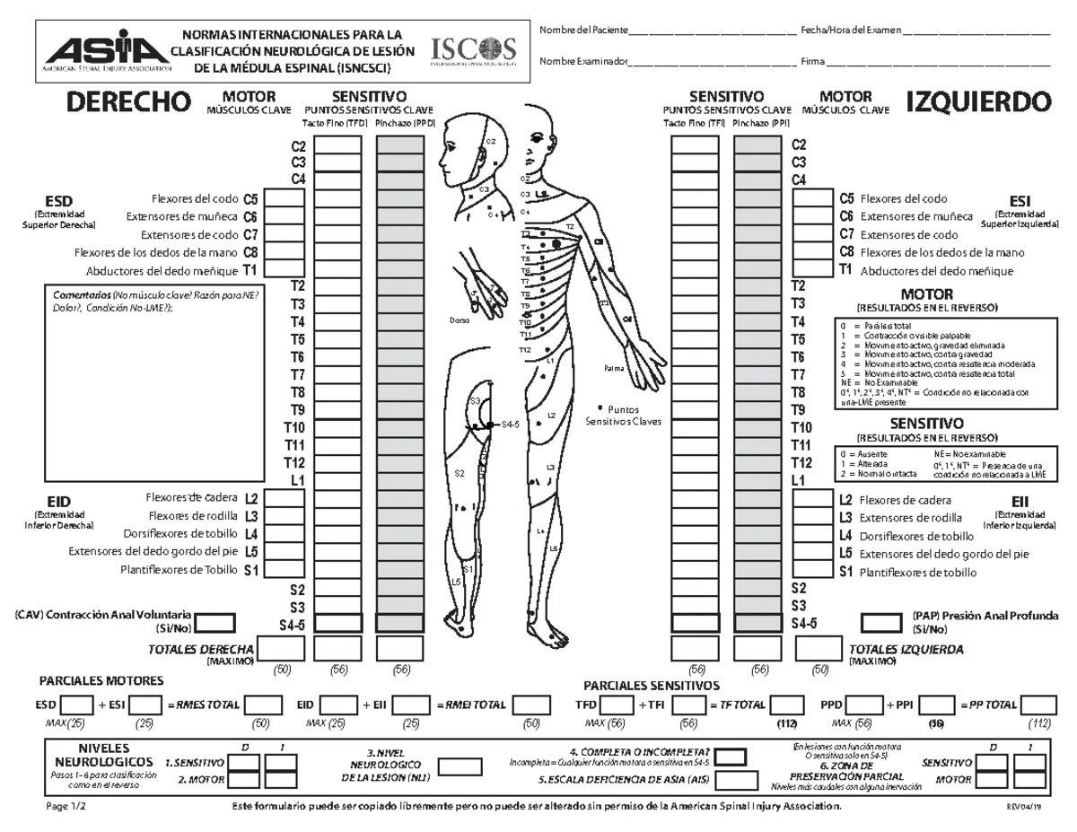 Plexos Nerviosos (origen y funciones de cada plexo) - Menu Plexos ...