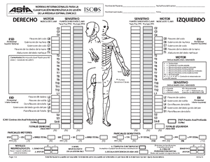 Láminas de Rexed - Láminas de Rexed Las láminas de Rexed son una ...