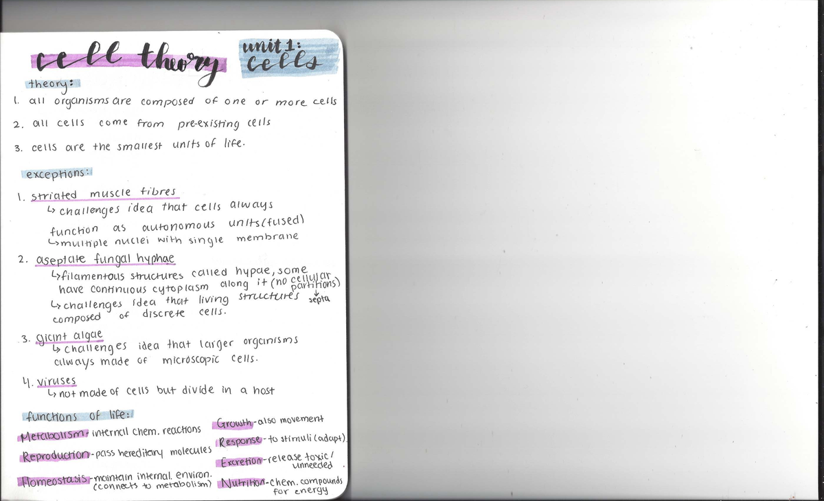 IB HL Biology Notes: Cells, Molecular Biology, Genetics, Ecology ...