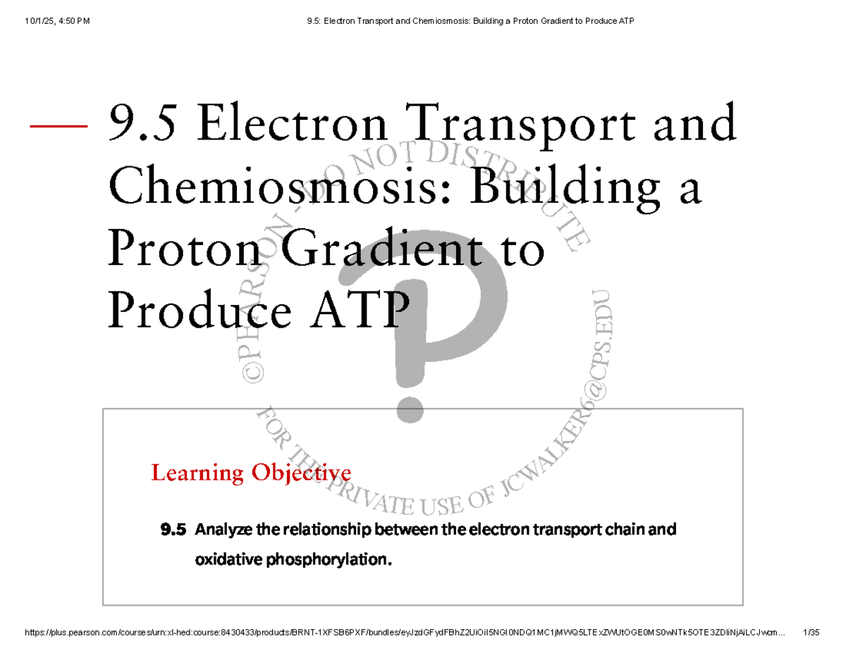 9.5: Electron Transport and Chemiosmosis - Proton Gradient & ATP ...