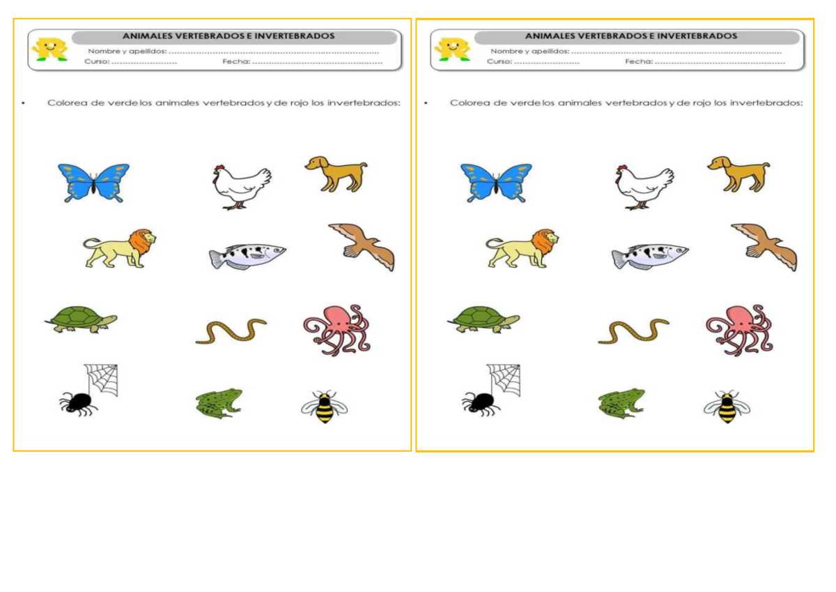 Animales vertebrados e invertebrados - Ciencias Naturales - ANIMALES ...