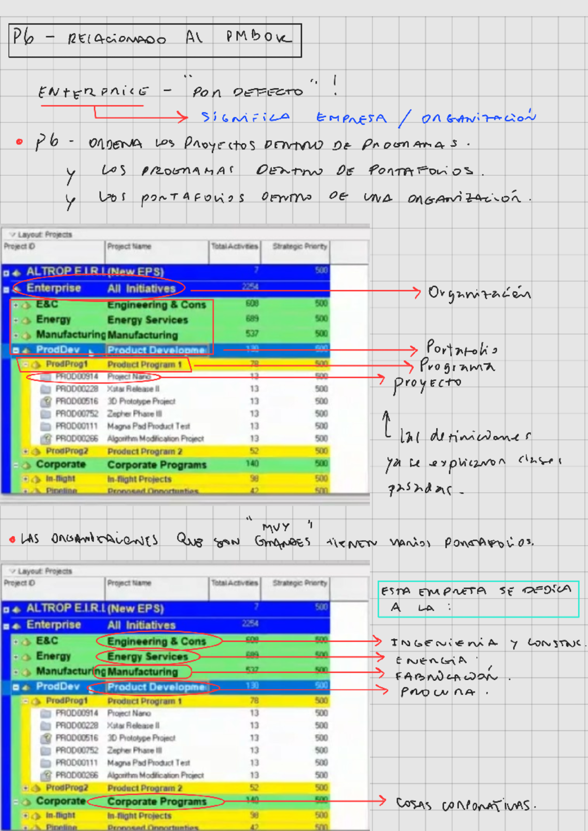 P6 Final Exam: Project Management and Enterprise Structure Analysis ...