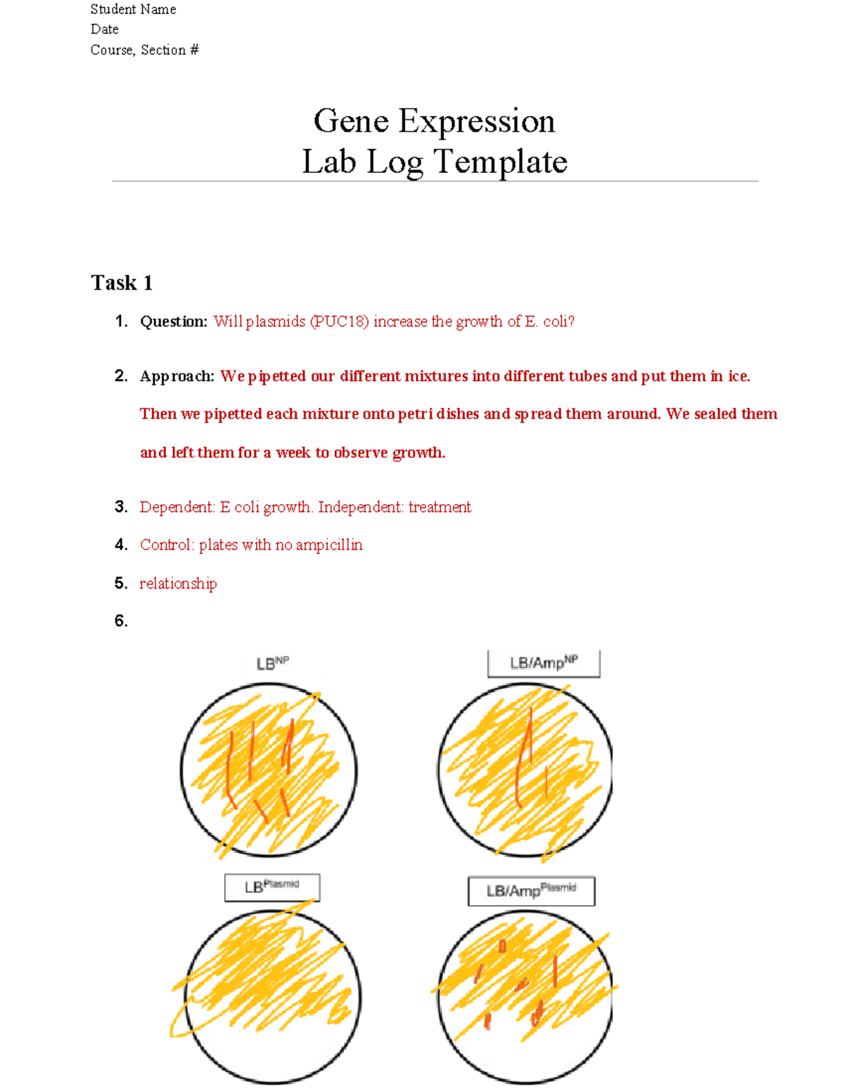 Gene Expression Lab Log Template - Student Name Date Course, Section Gene Expression Lab Log ...
