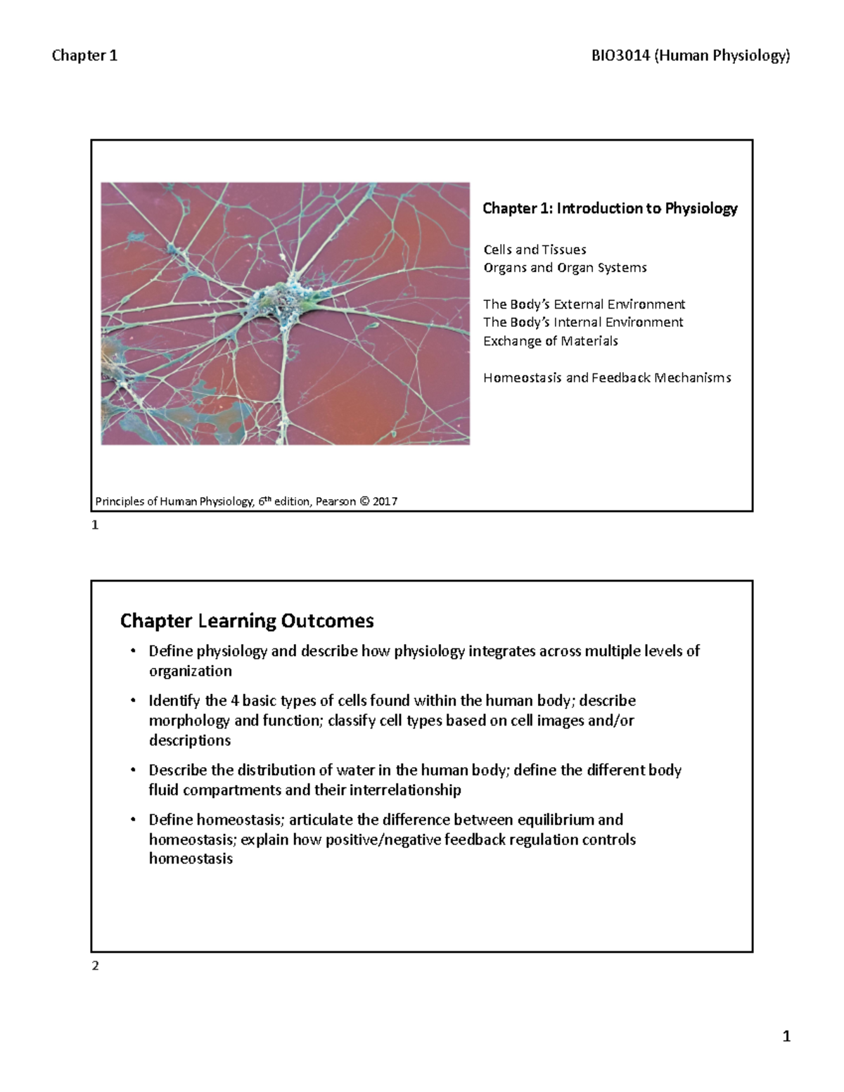 Chapter 1: Intro to Human Physiology in BIO3014 (Cells, Homeostasis ...