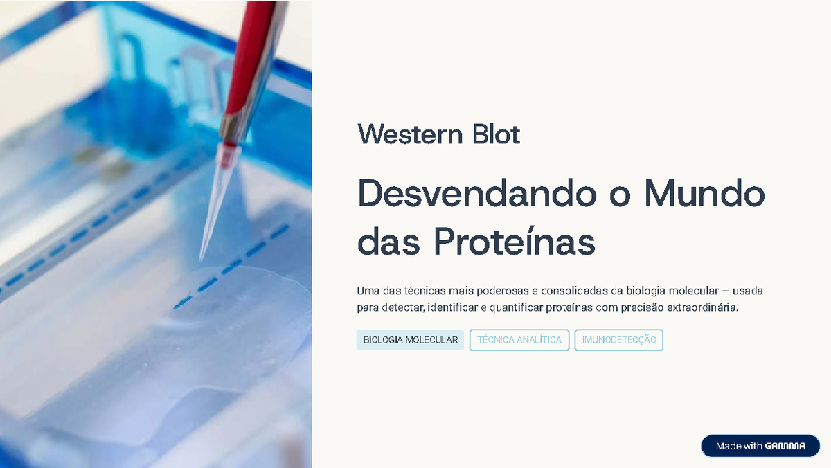 Western Blot: Técnica Analítica em Biologia Molecular (BIO 101) - Studocu