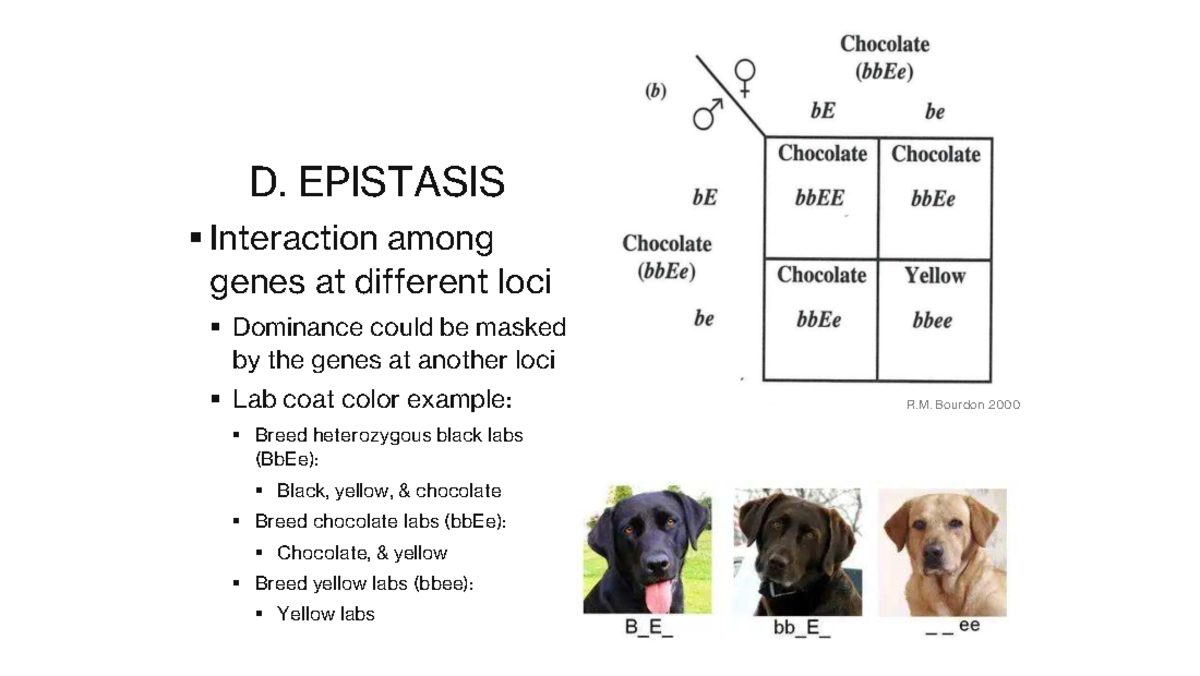 Breeding and Genetics: Mating Systems & Gene Mod - AGSC 100 - Studocu