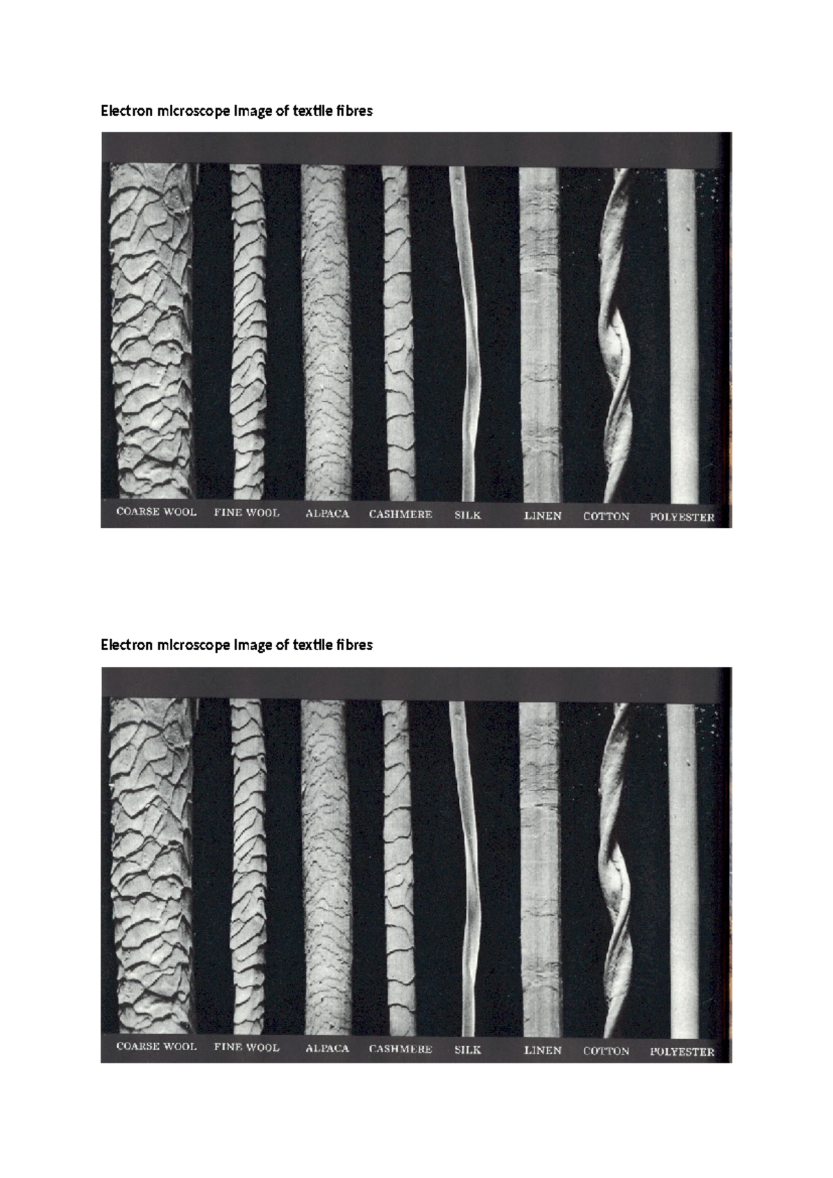 Electron microscope image of textile fibres - Studocu