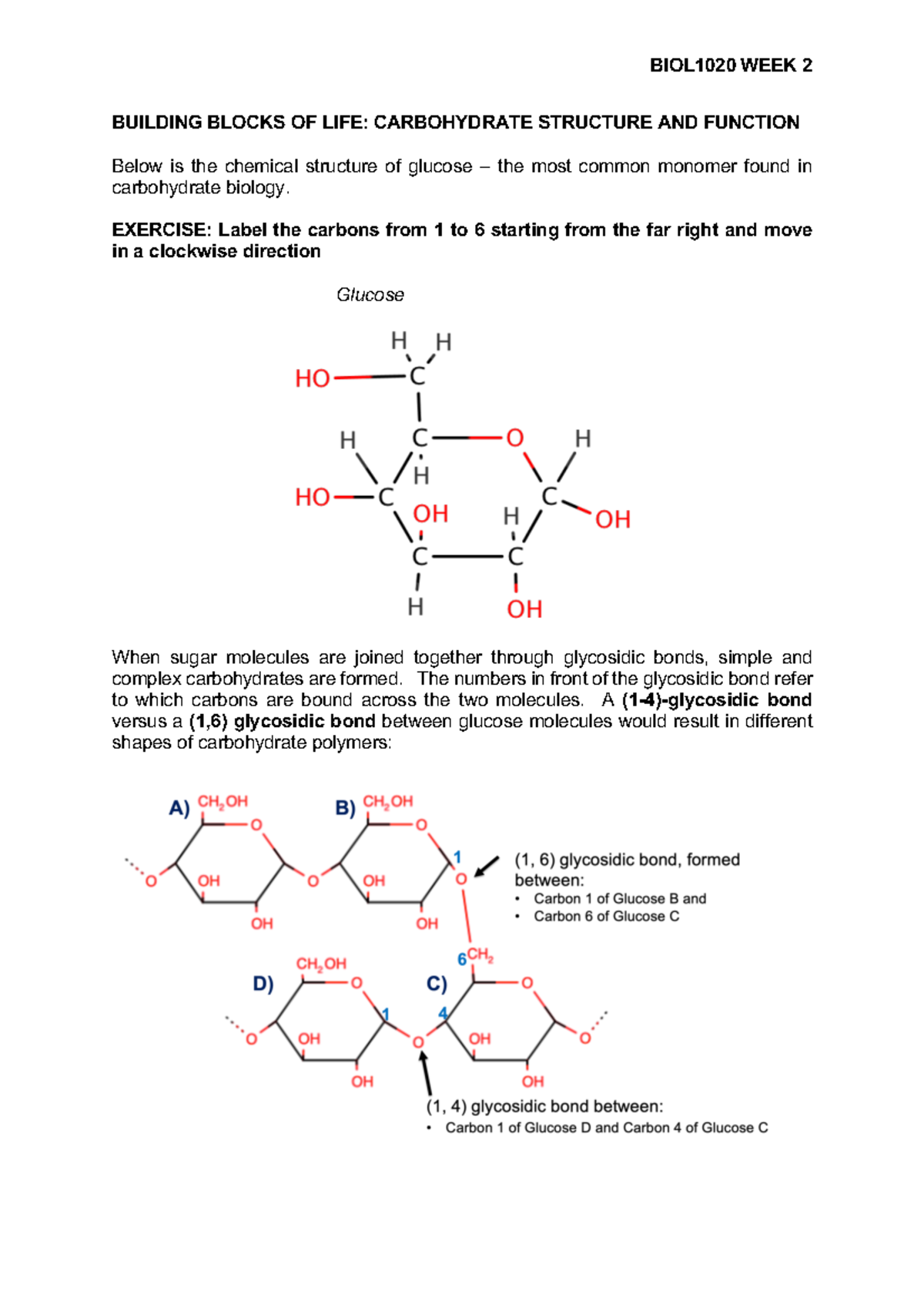 BIOL1020 Workshop - BUILDING BLOCKS OF LIFE: CARBOHYDRATE STRUCTURE AND ...