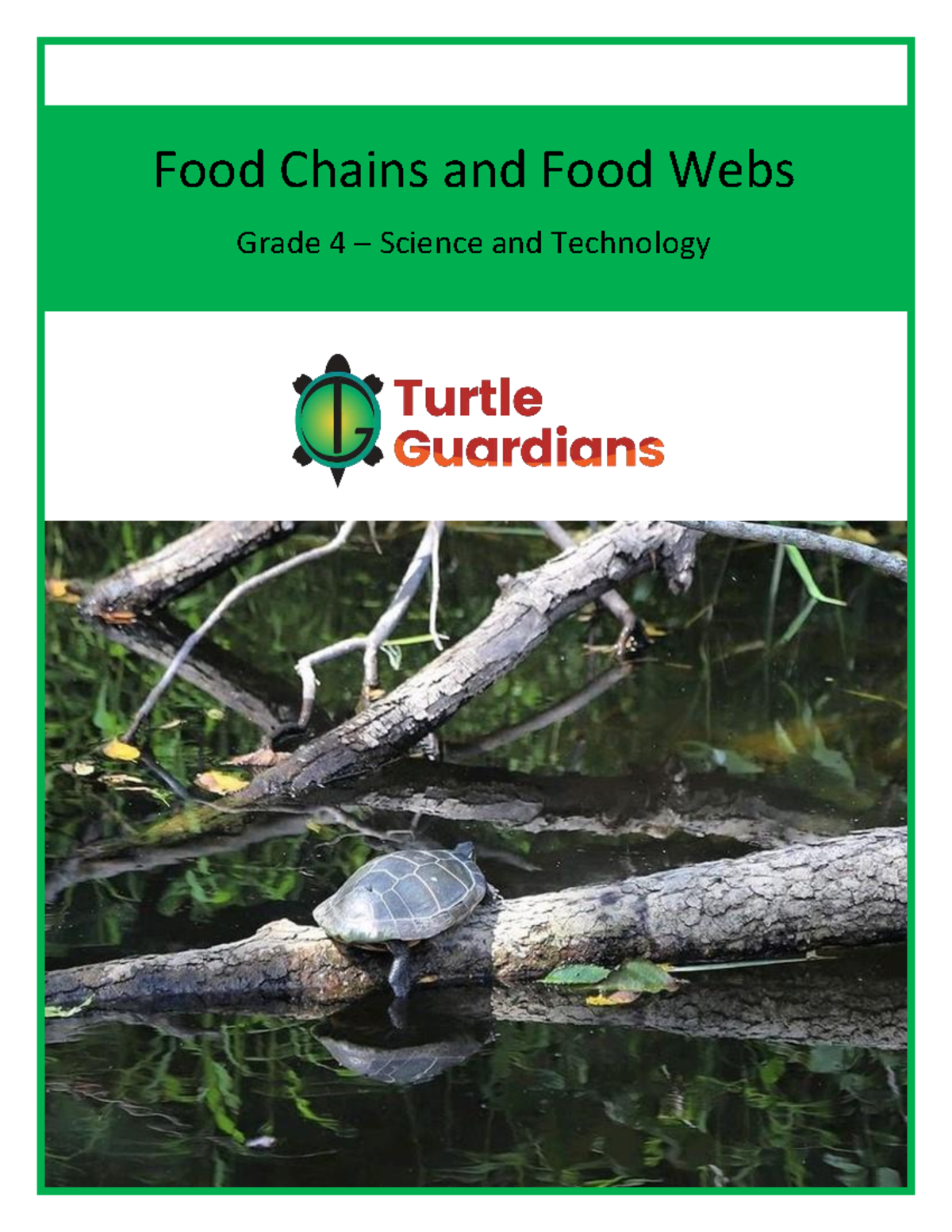 Food Chains and Food Webs Lesson Plan for Grade 4 Science - Studocu