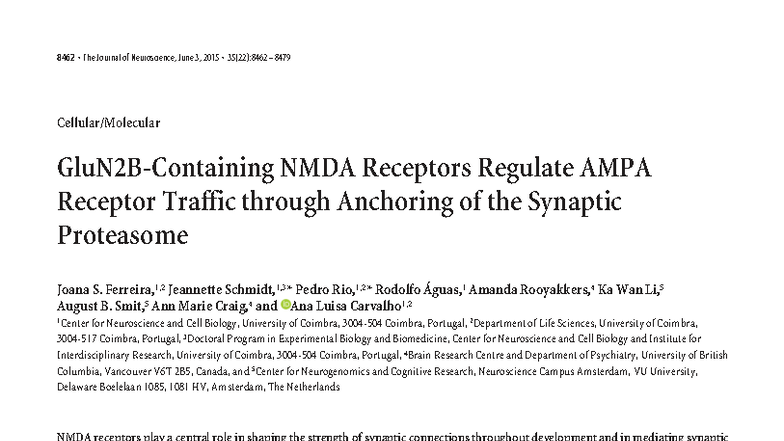 GluN2B's Role in AMPA Receptor Traffic: Insights from 8462 Research ...