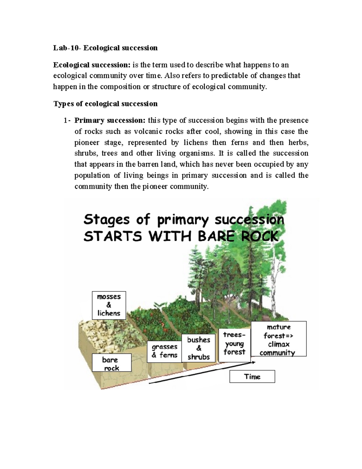 Ecological Succession - Lab-10- Ecological succession Ecological ...