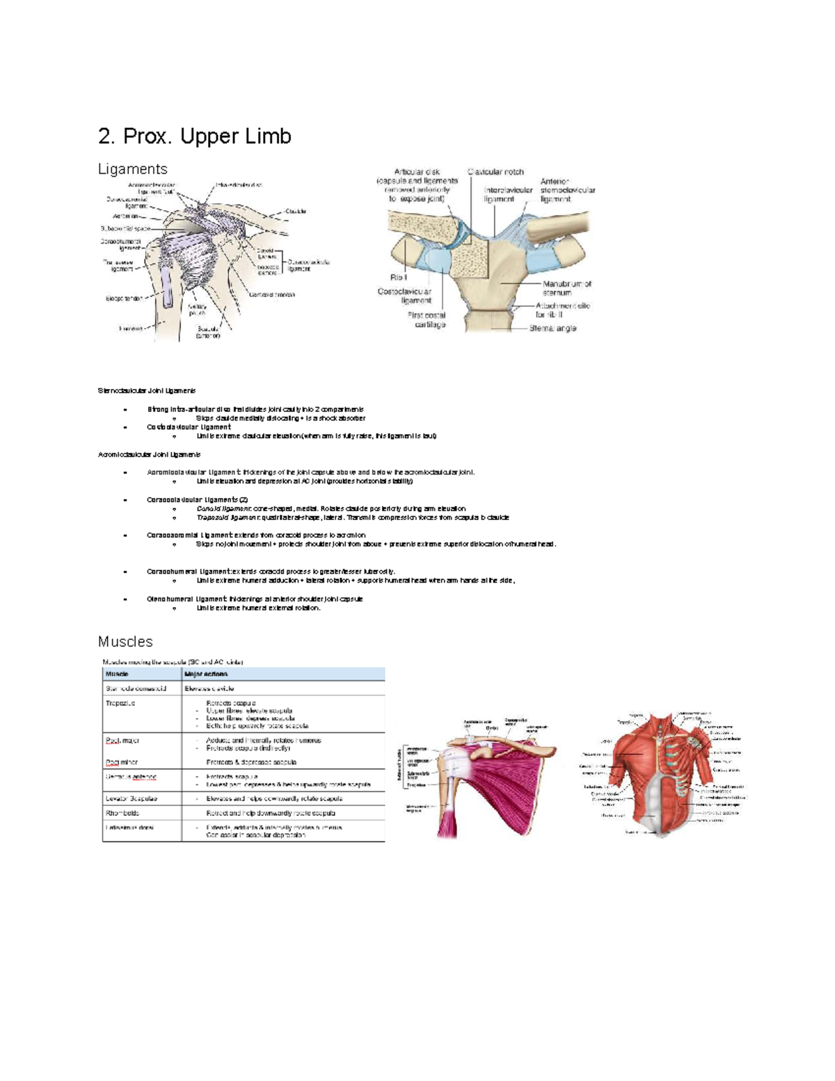 HLTH1000: Upper Limb Ligaments and Muscles Overview - Studocu