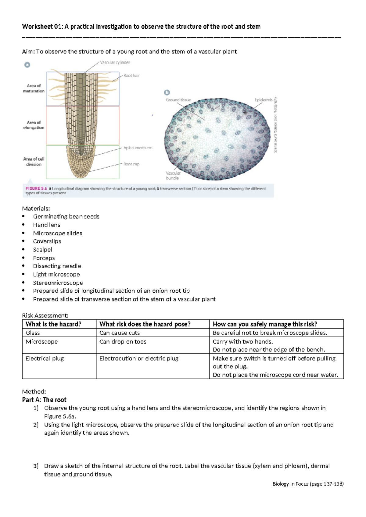 01 worksheet A practical investigation to observe the structure of the ...