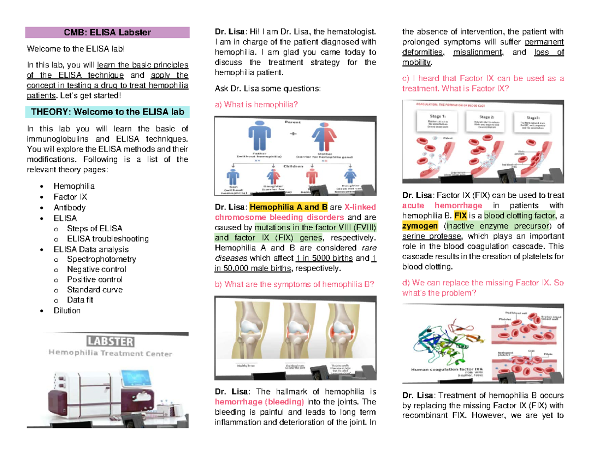 Types Of Elisa Labster Theory ELISA Assay As A Diagnostic Tool (1/2):