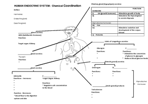 Biomechanics of Levers and Torque in the Human Body: An Overview ...