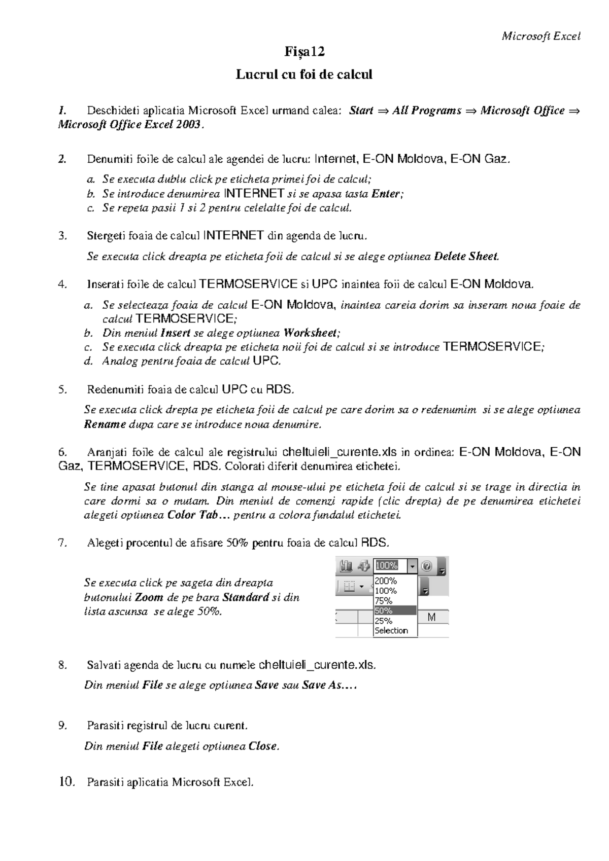 Microsoft Excel Fișa 12: Lucrul cu Foi de Calcul - Studocu