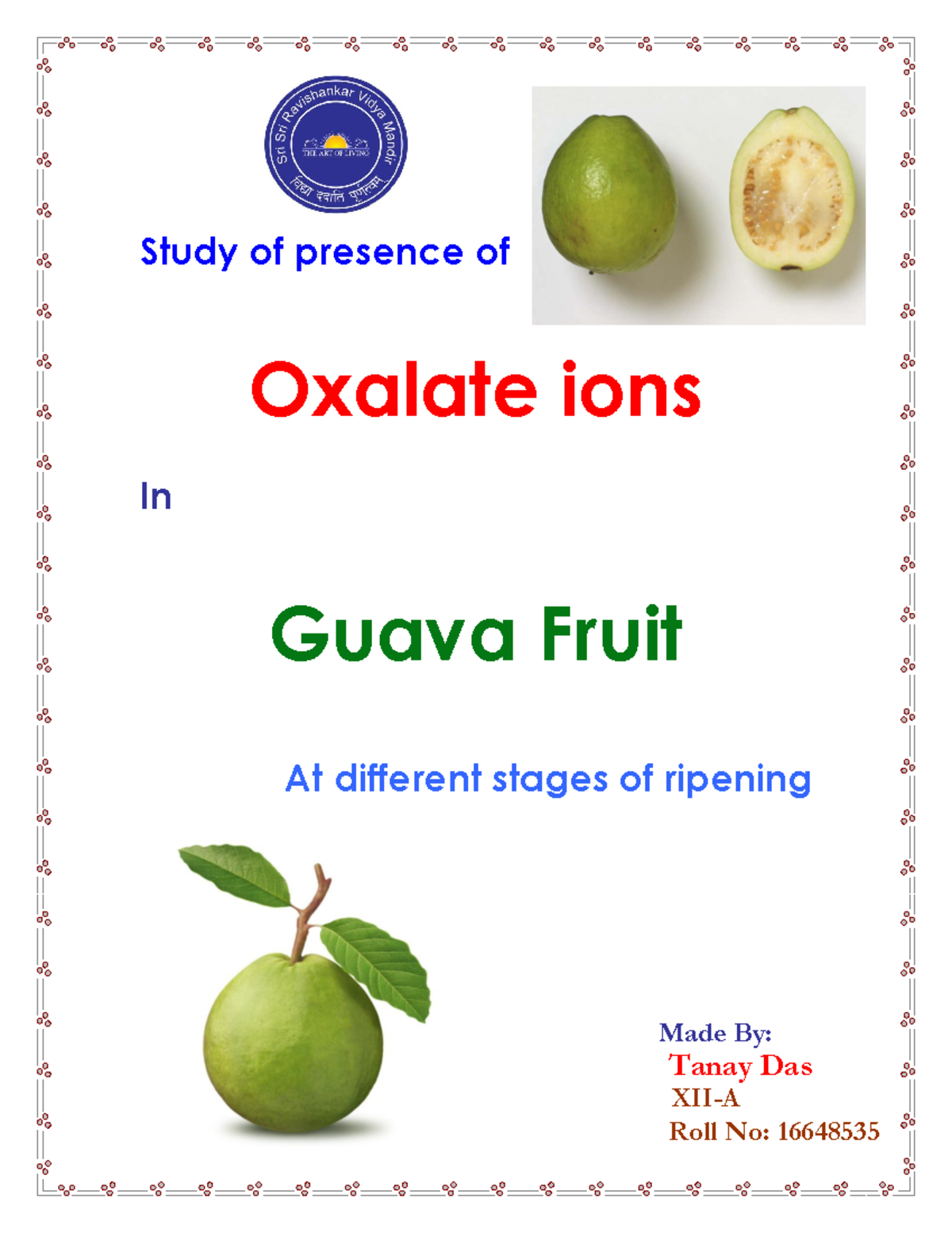 Chemistry Investigatory Project: Oxalate Ions in Guava (Class XII ...