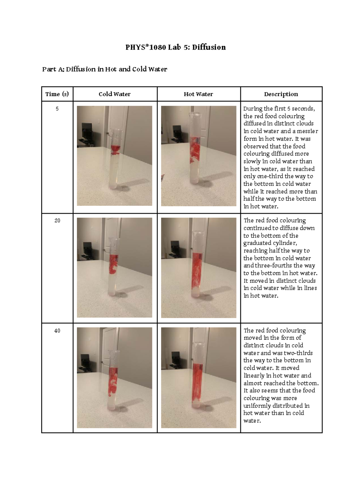 PHYS 1080 Lab 5: Diffusion in Hot vs Cold Water Analysis - Studocu