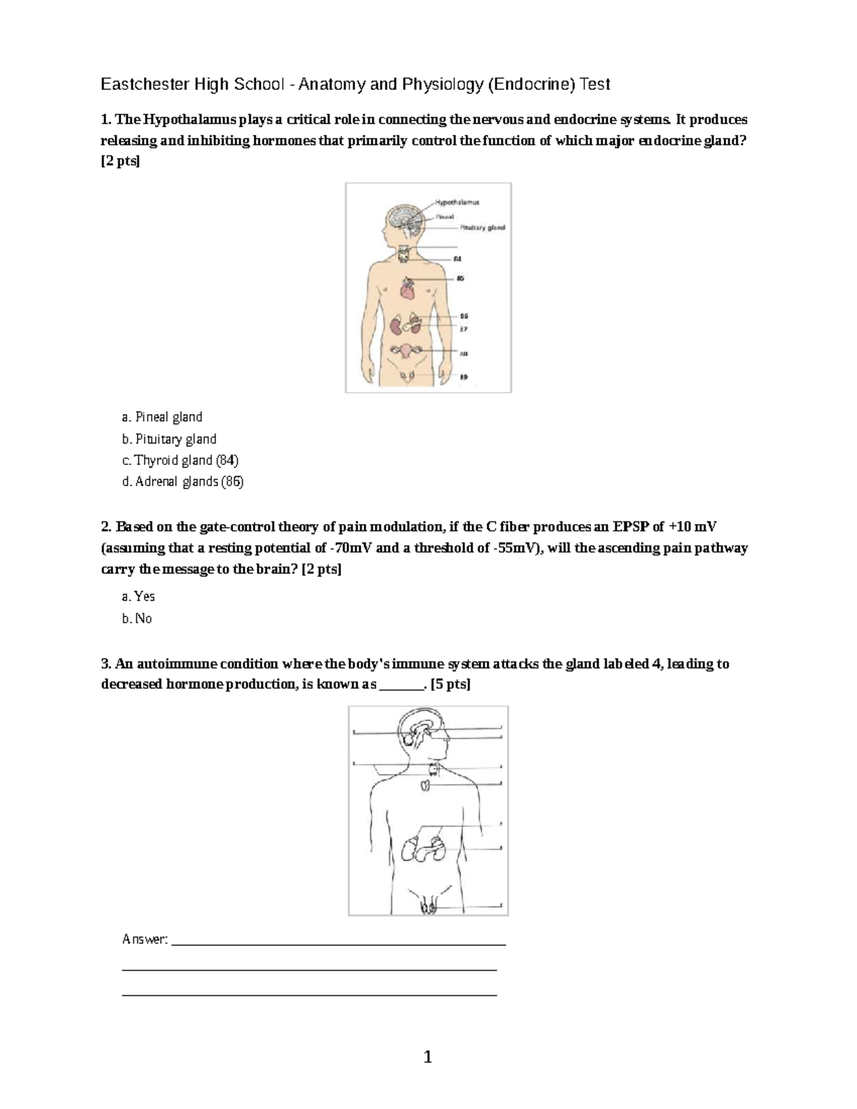 Eastchester High School Anatomy & Physiology (Endocrine) Test 1 Review ...