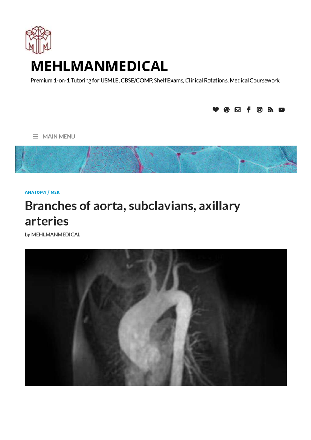 Subclavian Artery Branches Mnemonic