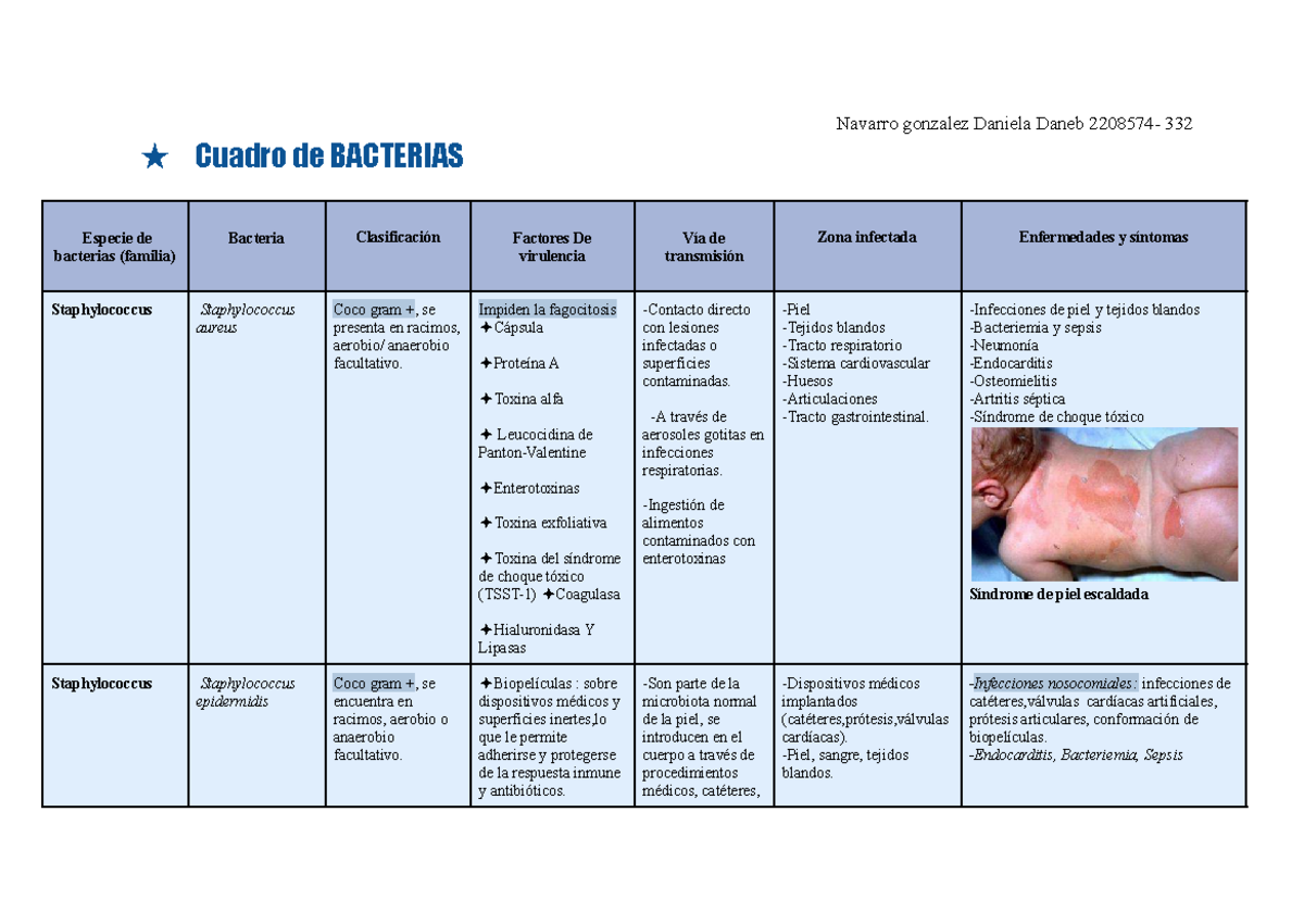 Cuadro de Bacterias: Clasificación y Factores de Virulencia (Daneb 332 ...