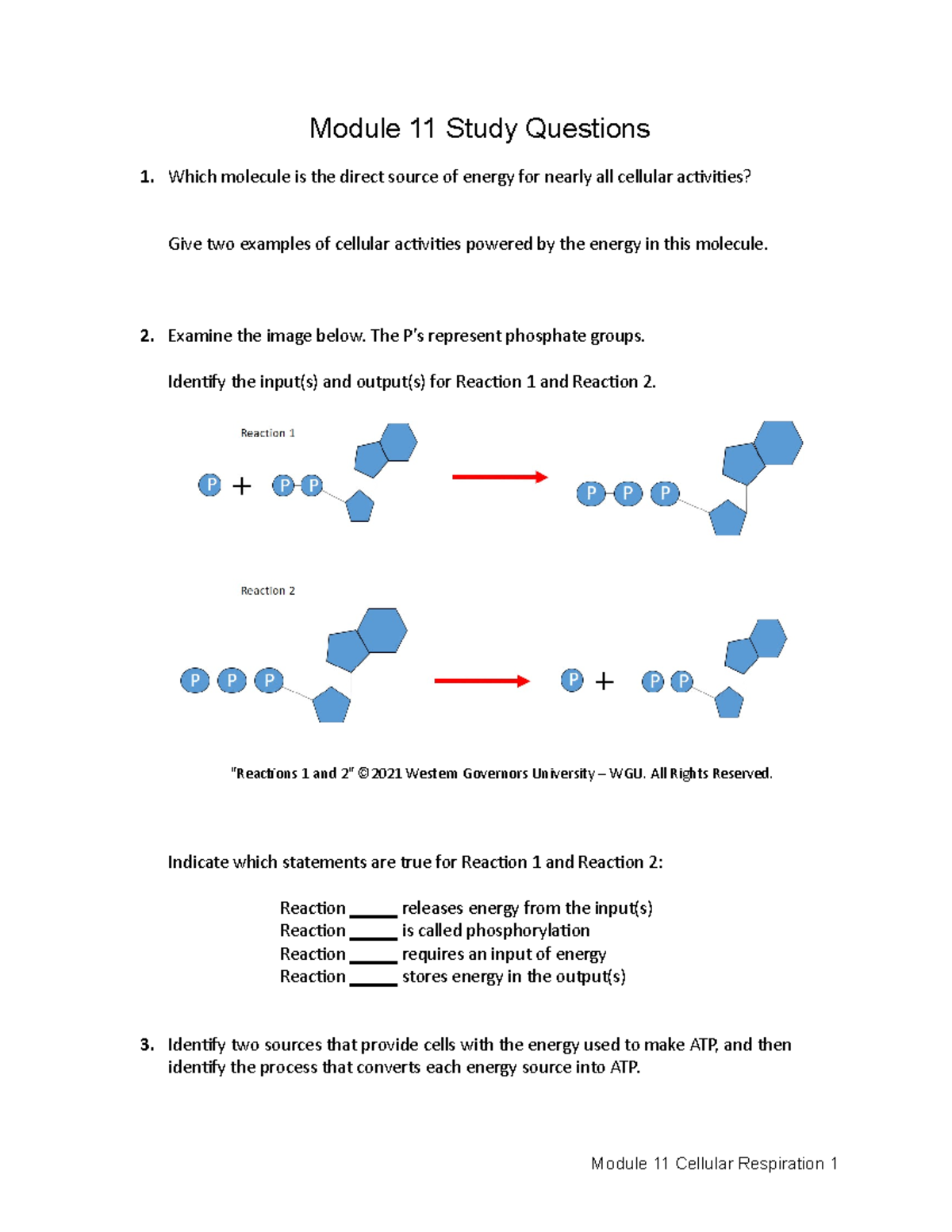 C190.v3 module 11 study questions - Module 11 Study Questions Which ...
