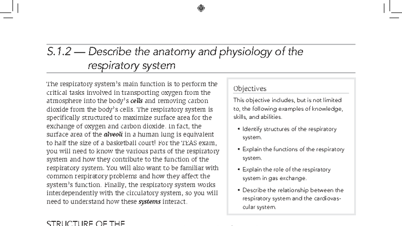 ATI TEAS Study Manual: Insights on Respiratory System Anatomy ...
