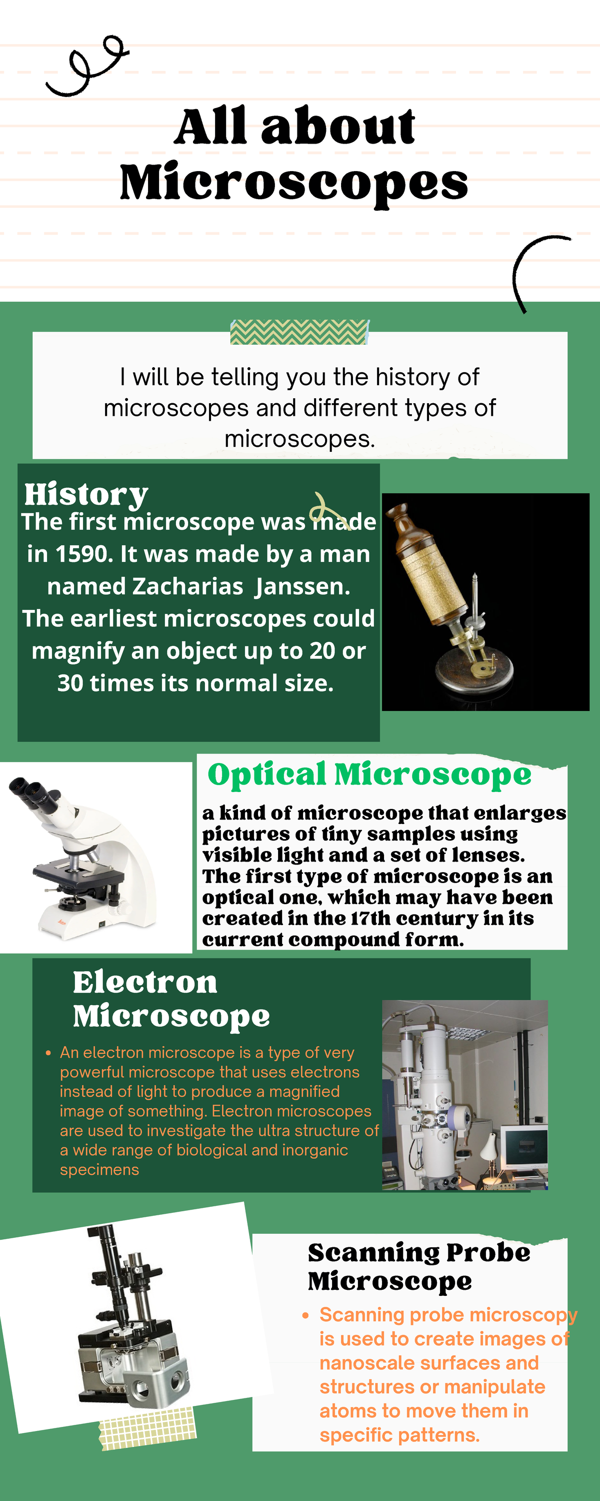 Plant Superpowers How They Adapt and Survive Education Infographic in ...
