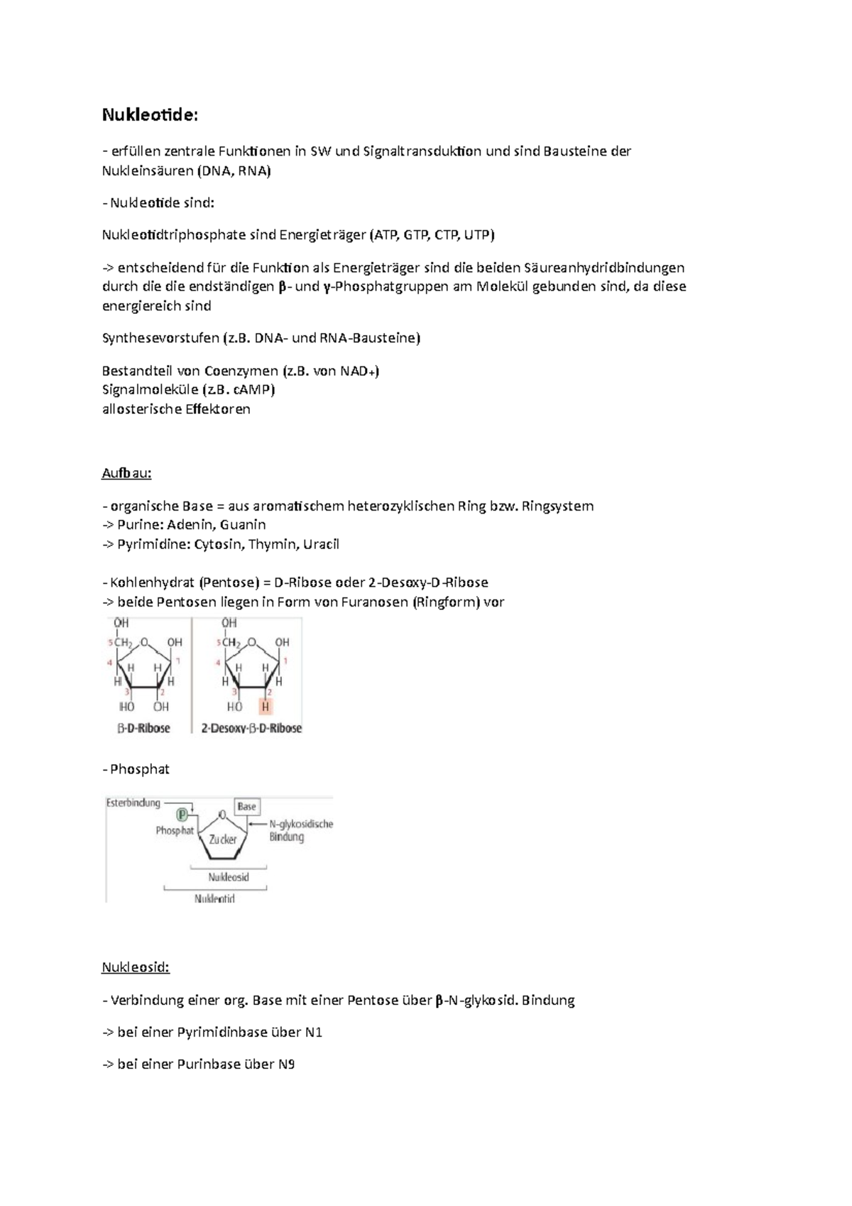 Überblick des Zusammenbaus von Nukleosiden/ Nukleotiden - Nukleotide ...