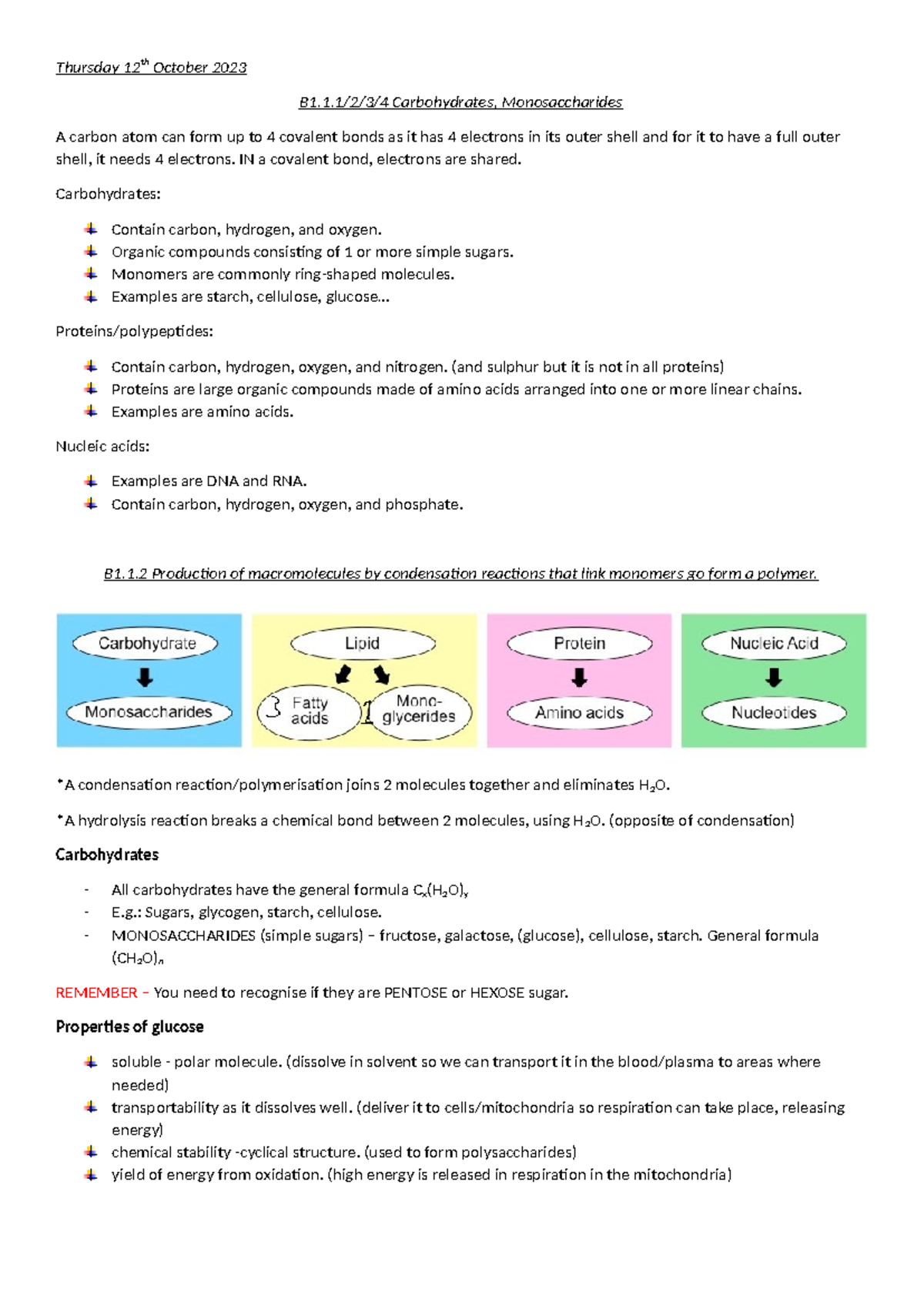 B1.1 Carbohydrates & Membrane Transport Overview Notes - Thursday 12th ...